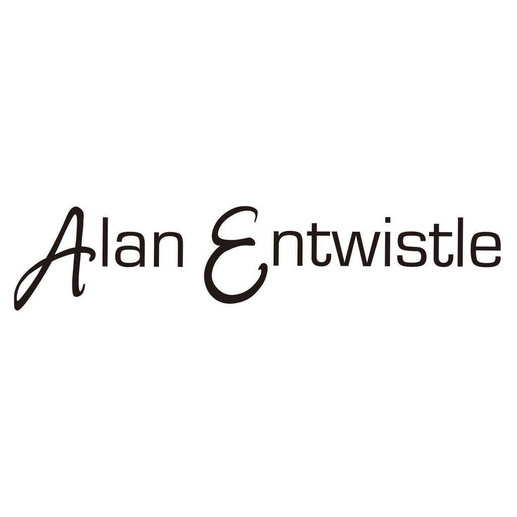 Vintage REVO ELEKTRA ~ Natural Silk – VintageGuitarsRus