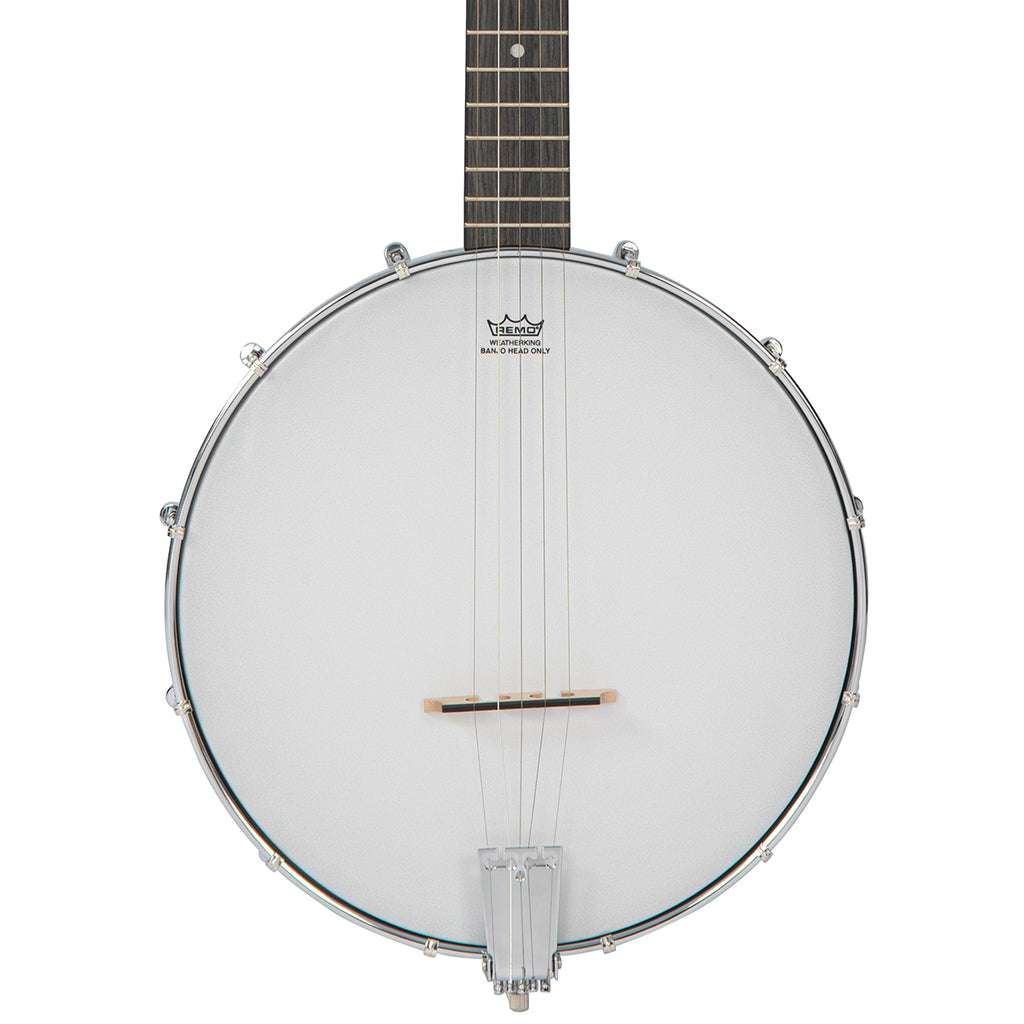 Vintage Progress ~ 5 String Open Back G Banjo – VintageGuitarsRus