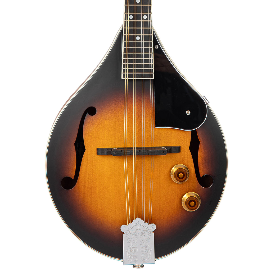Vintage Redwood – A-Style Electro-Acoustic Mandolin 'F' Holes ...