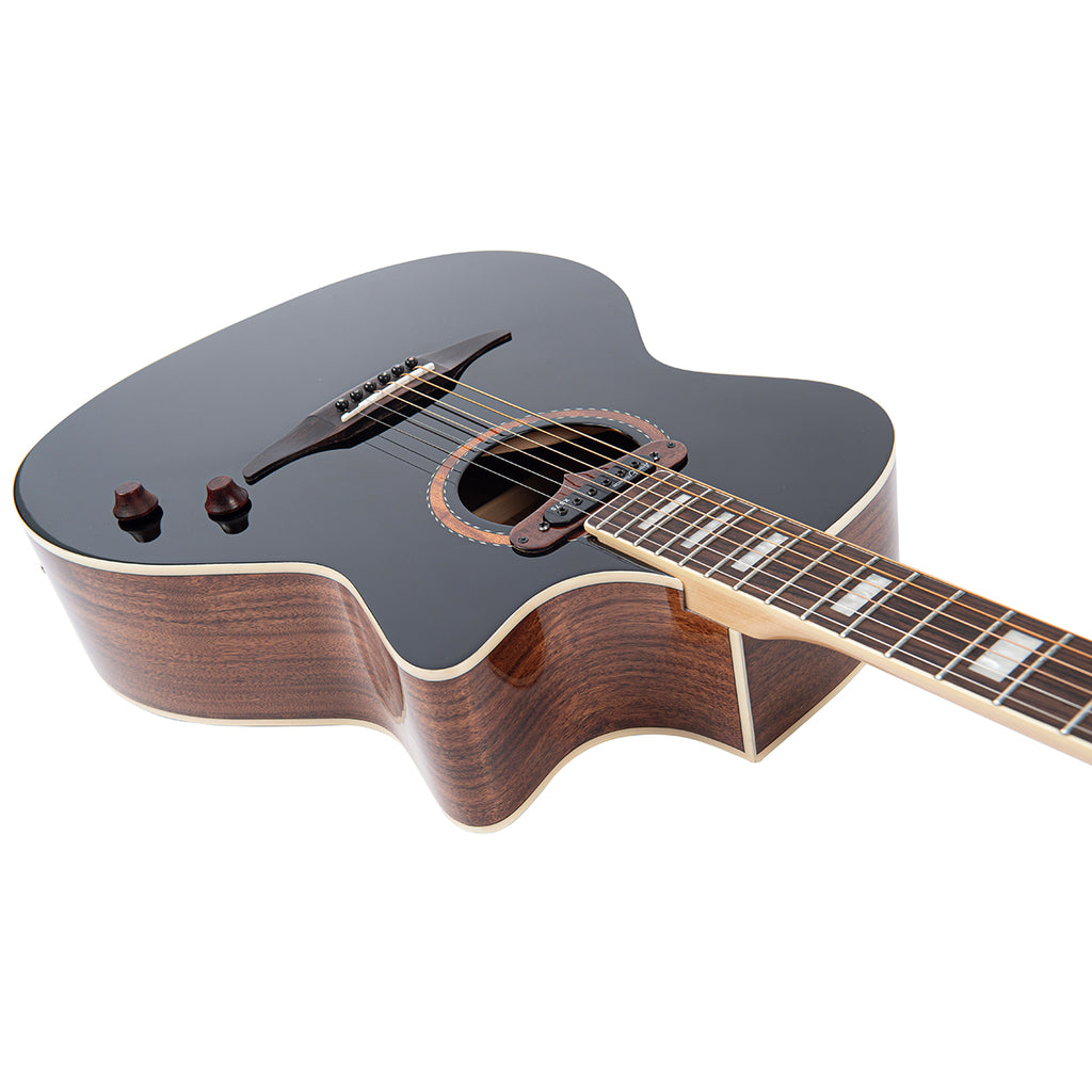 Vintage REVO ELEKTRA ~ Black Silk – VintageGuitarsRus